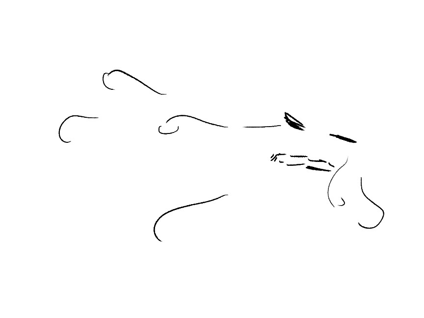 artstation-basic-animation-try