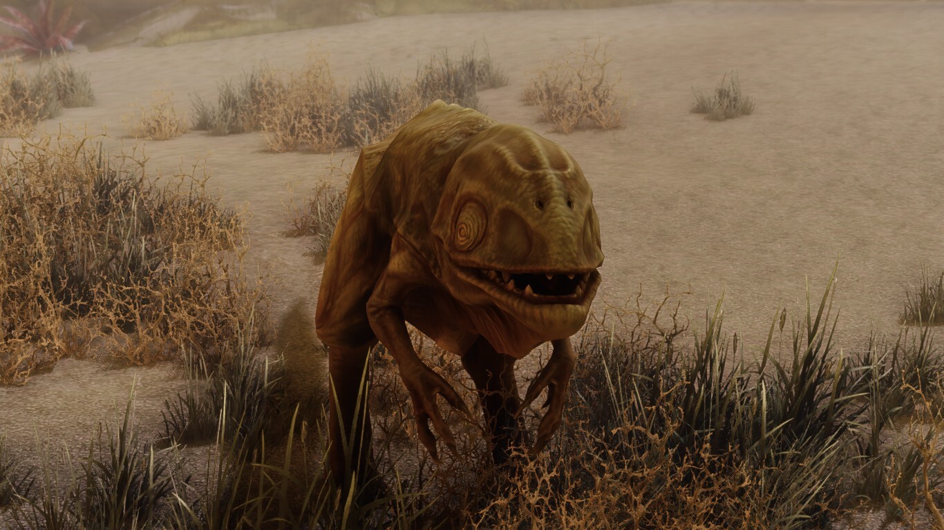 ArtStation - Wild Guar