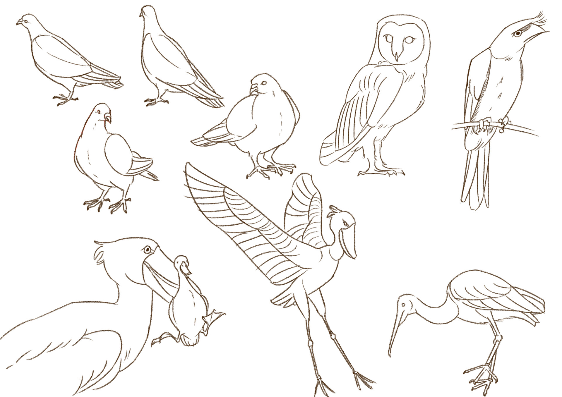 ArtStation - Animal Locomotion: Mammals and Birds