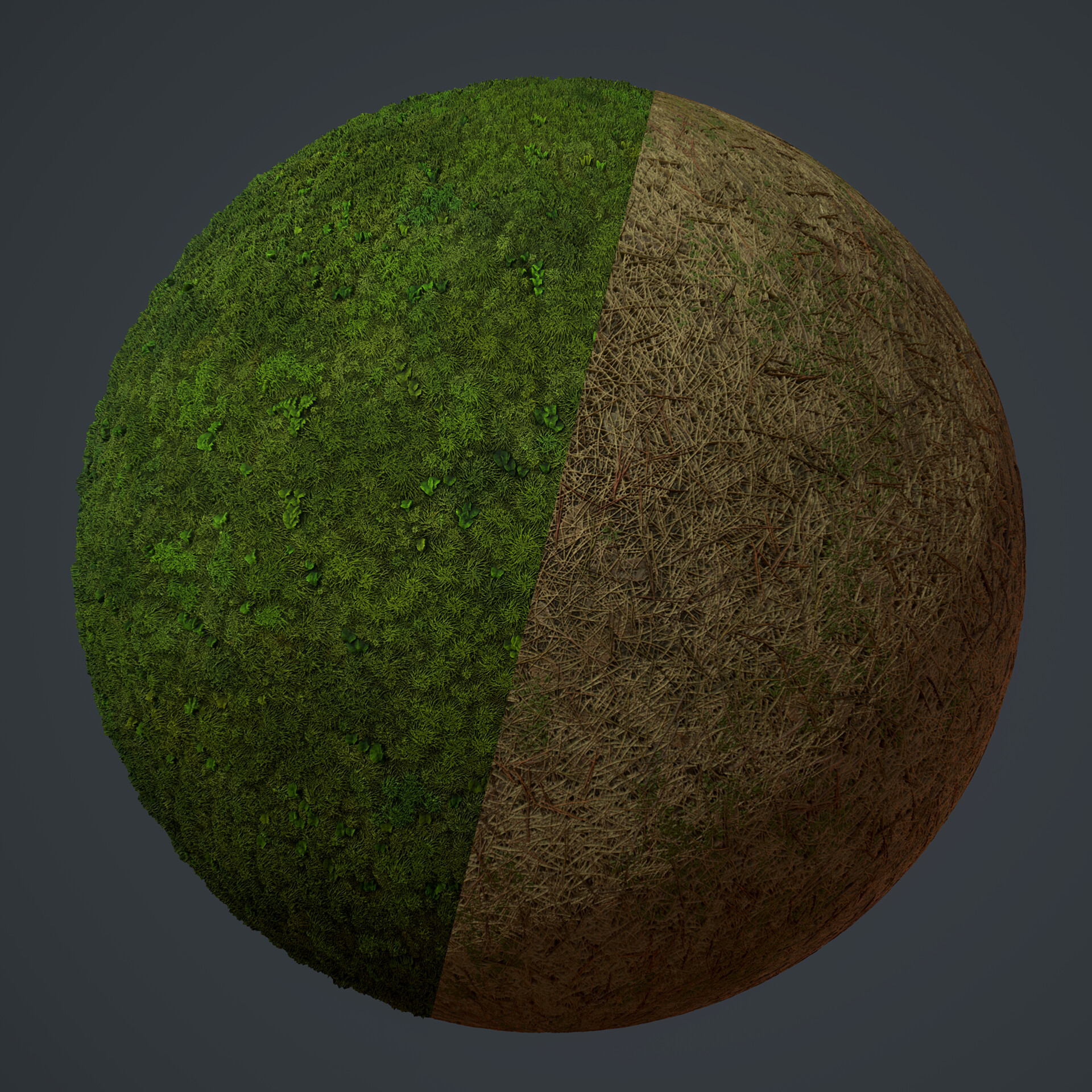 ArtStation - Forest Moss & Ground Materials