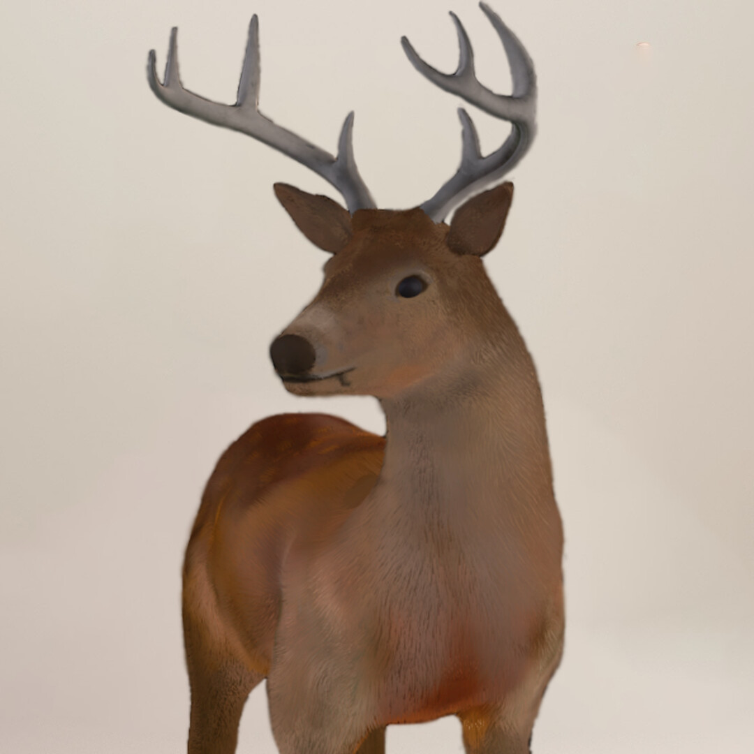 Maxime Tijou - 3D Deer - Rigged