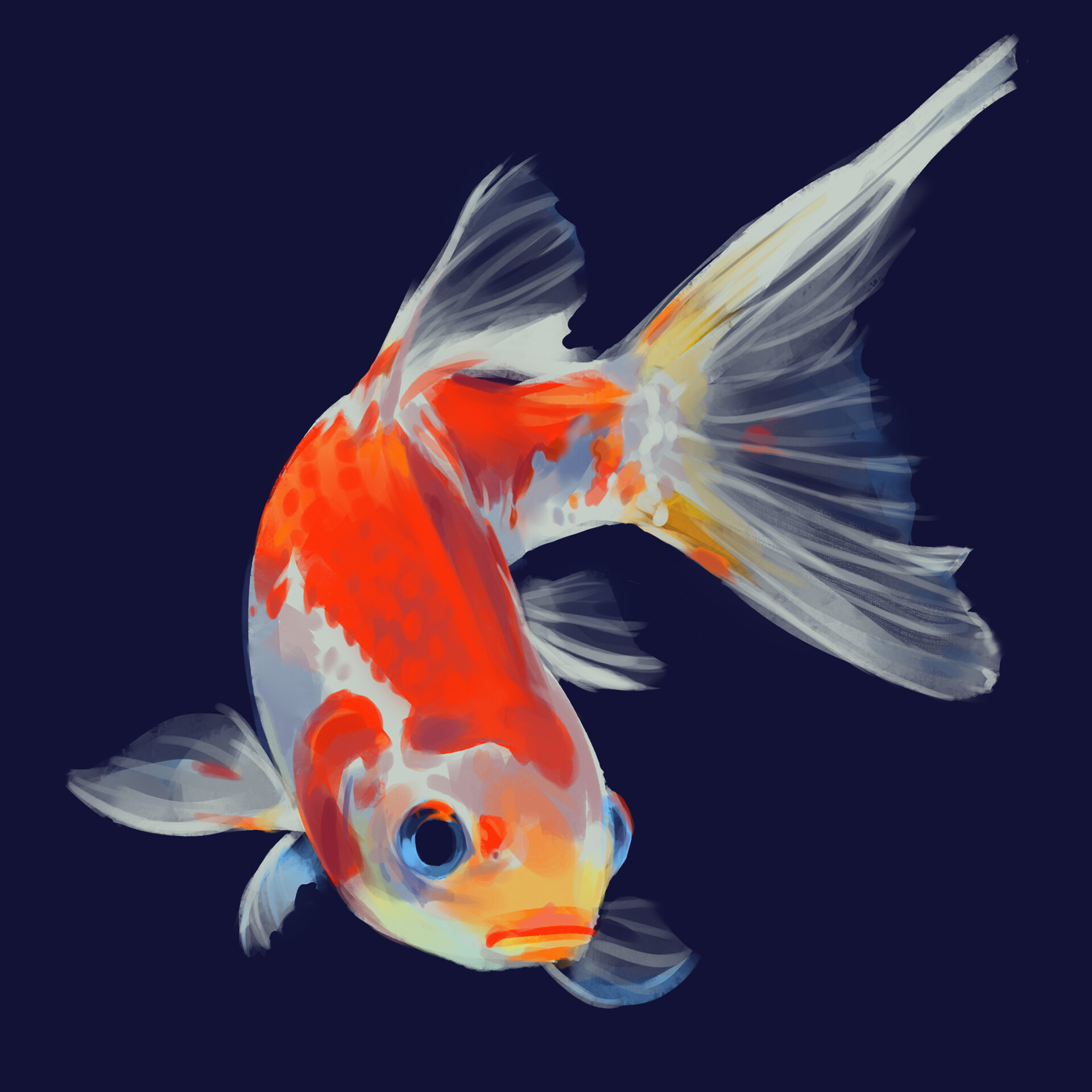 ArtStation - Koi Fish Study