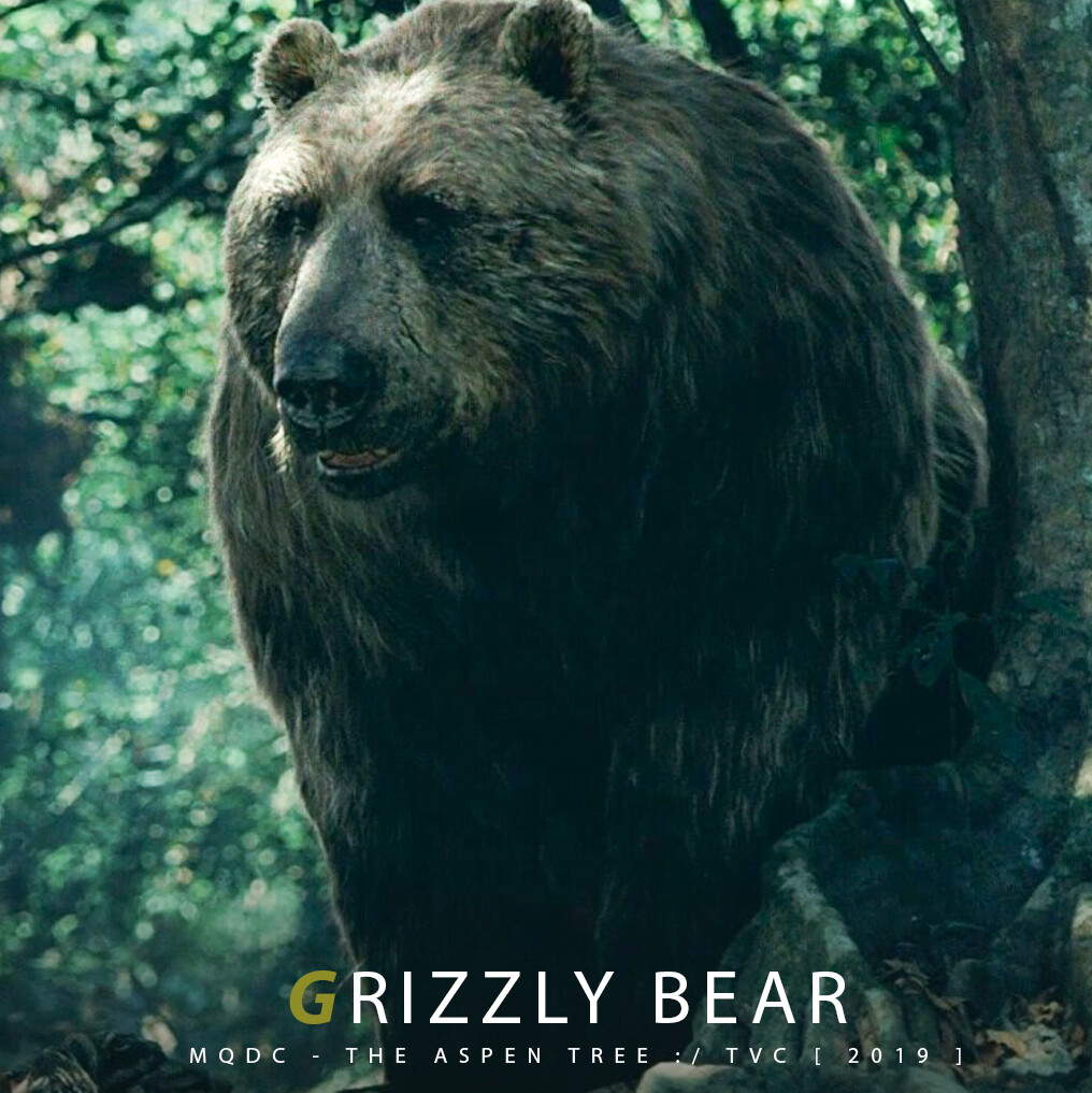 ArtStation - MQDC - THE ASPEN TREE : GRIZZLY BEAR / TVC [ 2019 ]