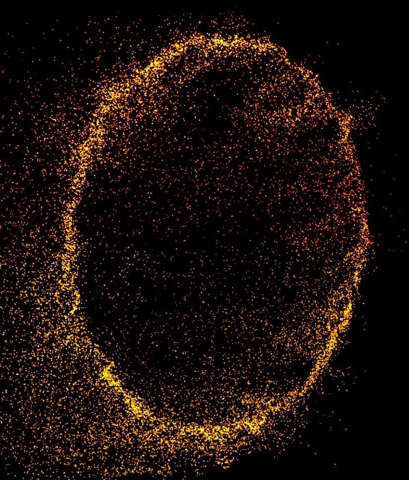 Ken Davis - tyFlow Portal