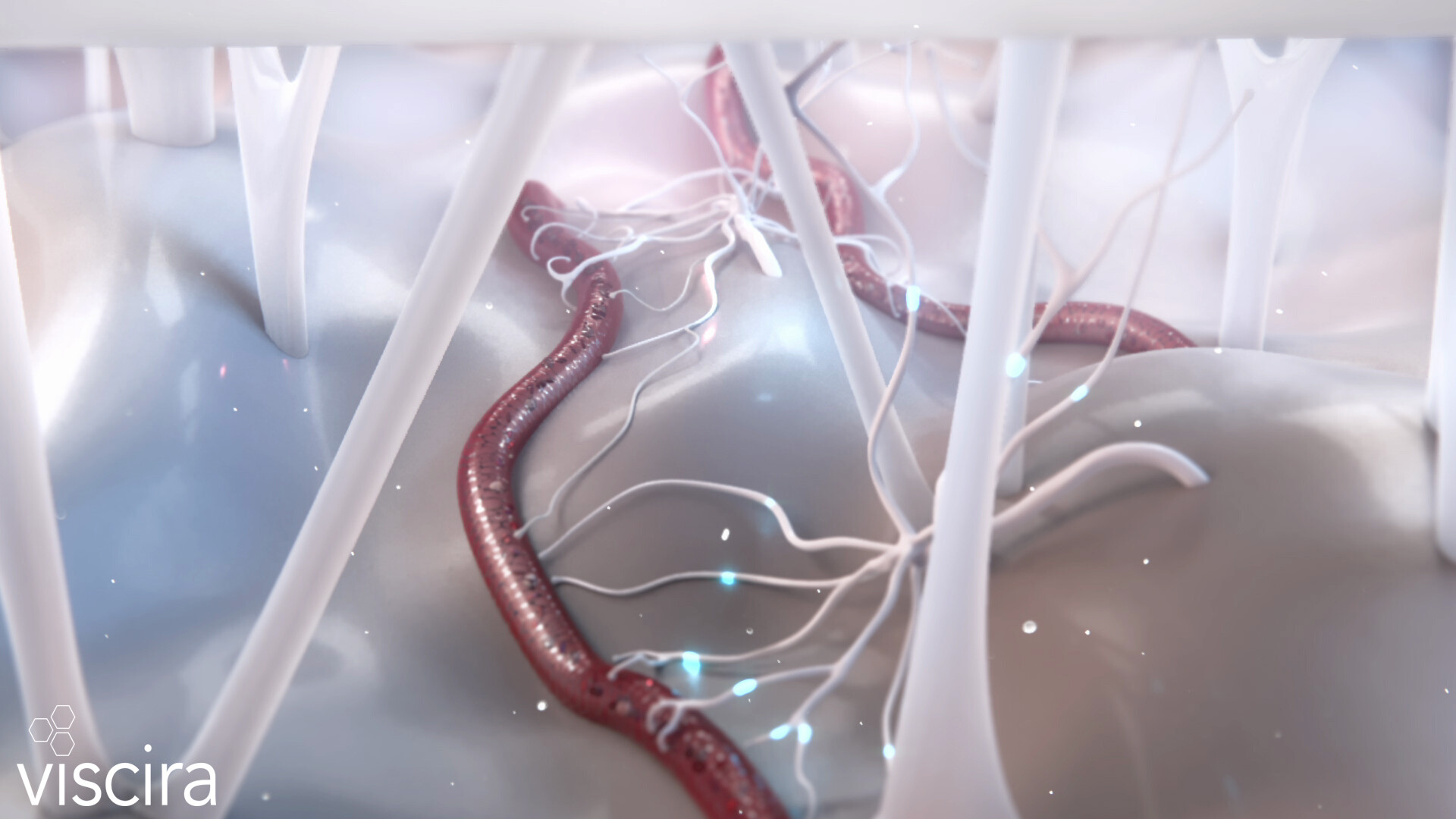 ArtStation - Neuron Medical Animation