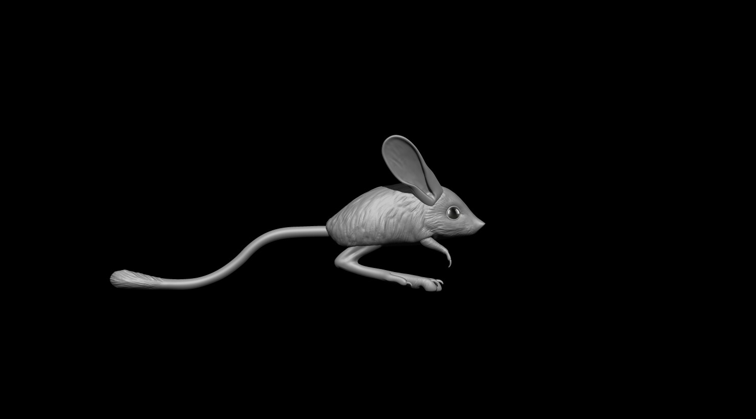ArtStation - Long Eared Jerboa