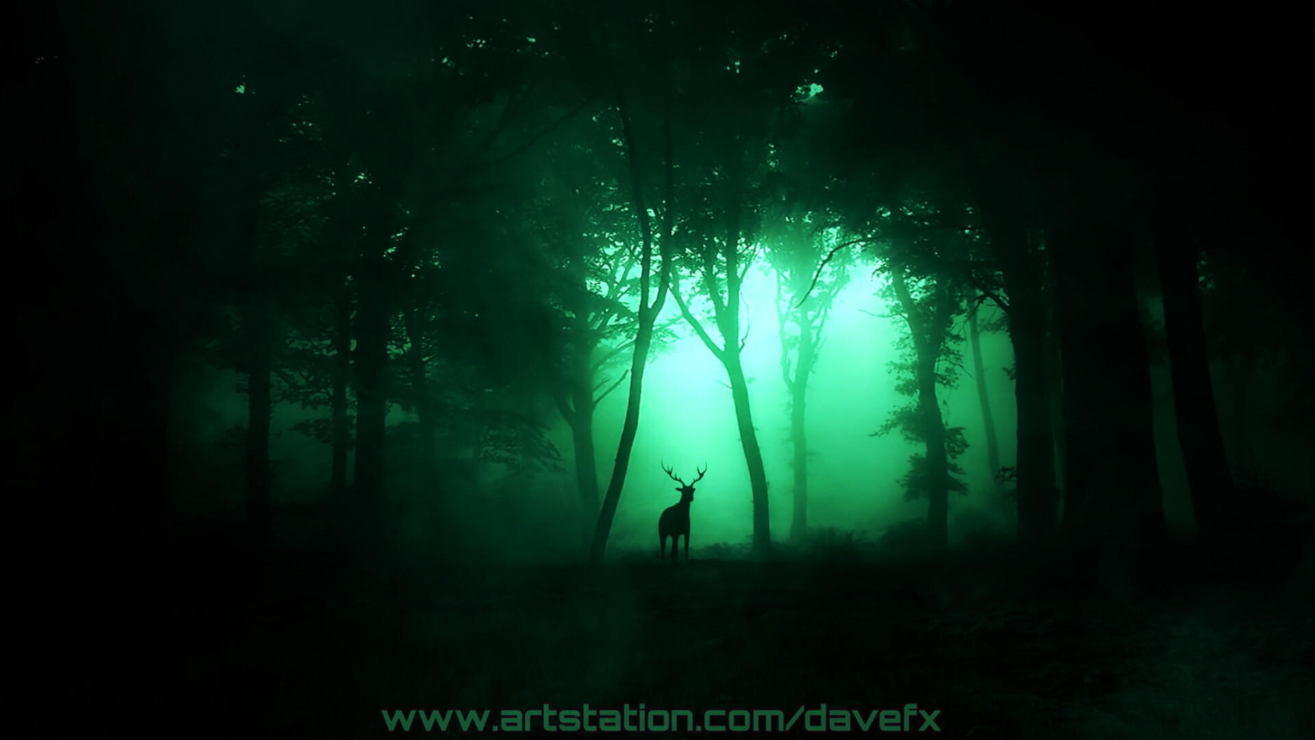 ArtStation - Magic Forests