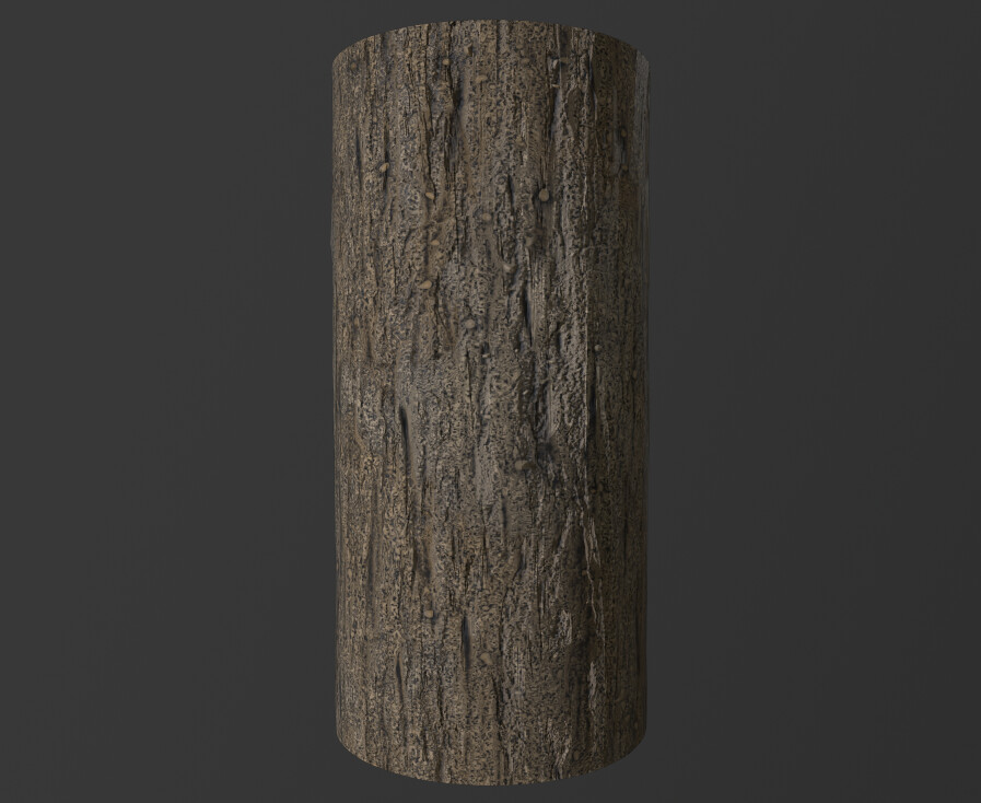 ArtStation - Bark Texture (Zbrush + Substance Designer)