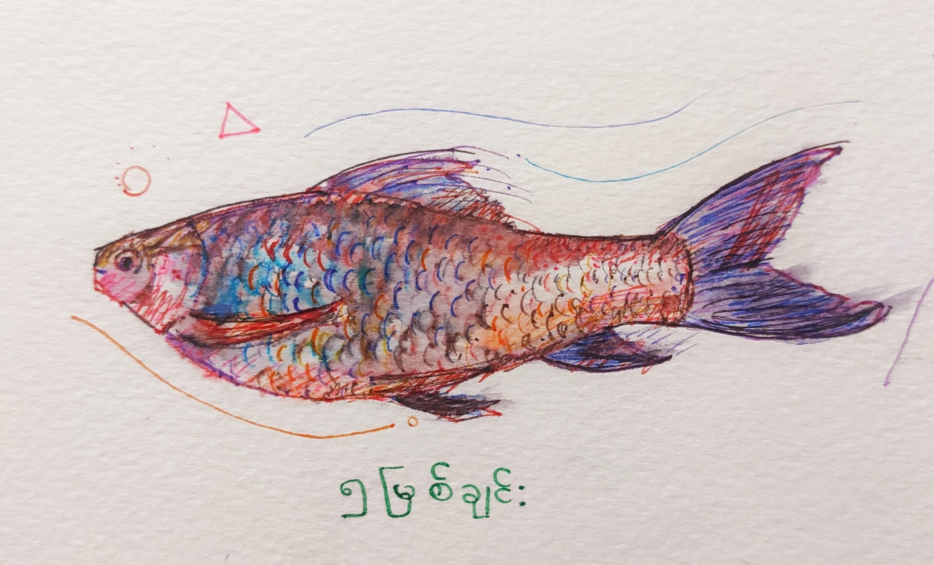 ArtStation - Fish with unique names