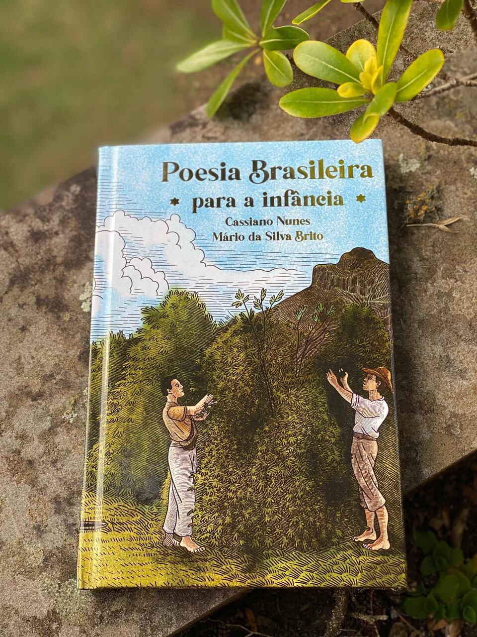 ArtStation - Clubinho Literário's book of brazilian poetry