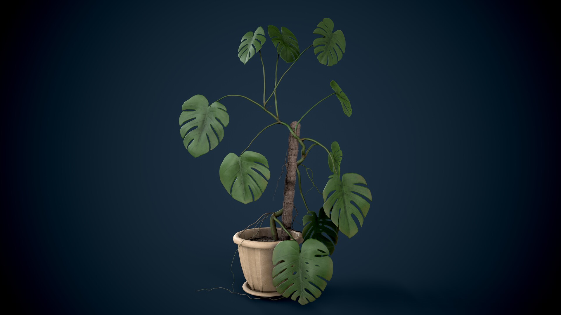 ArtStation - Monstera 3d model