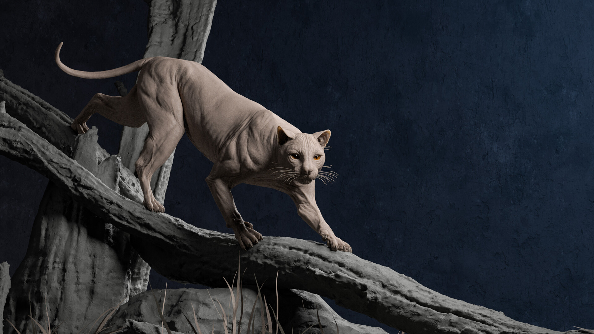 ArtStation - Ocelot - Anatomy Study