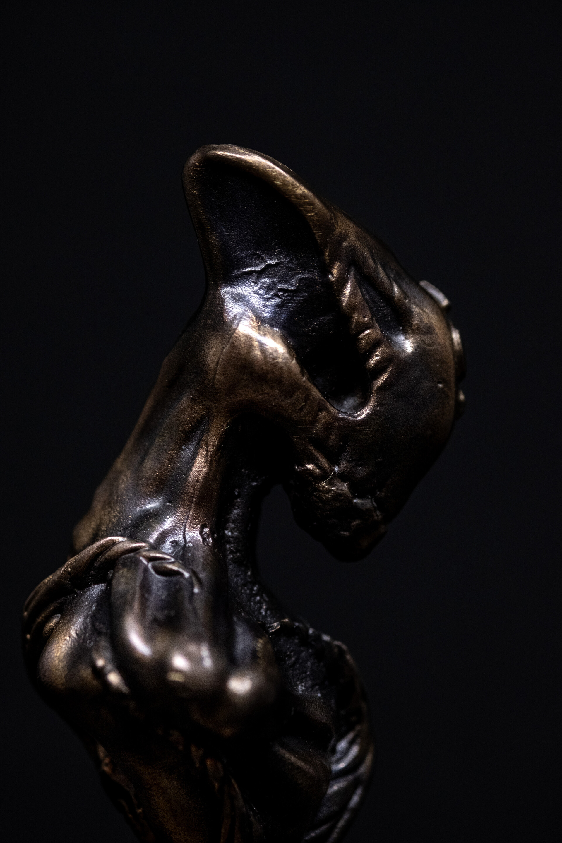ArtStation - Tangled King - Bronze Cast