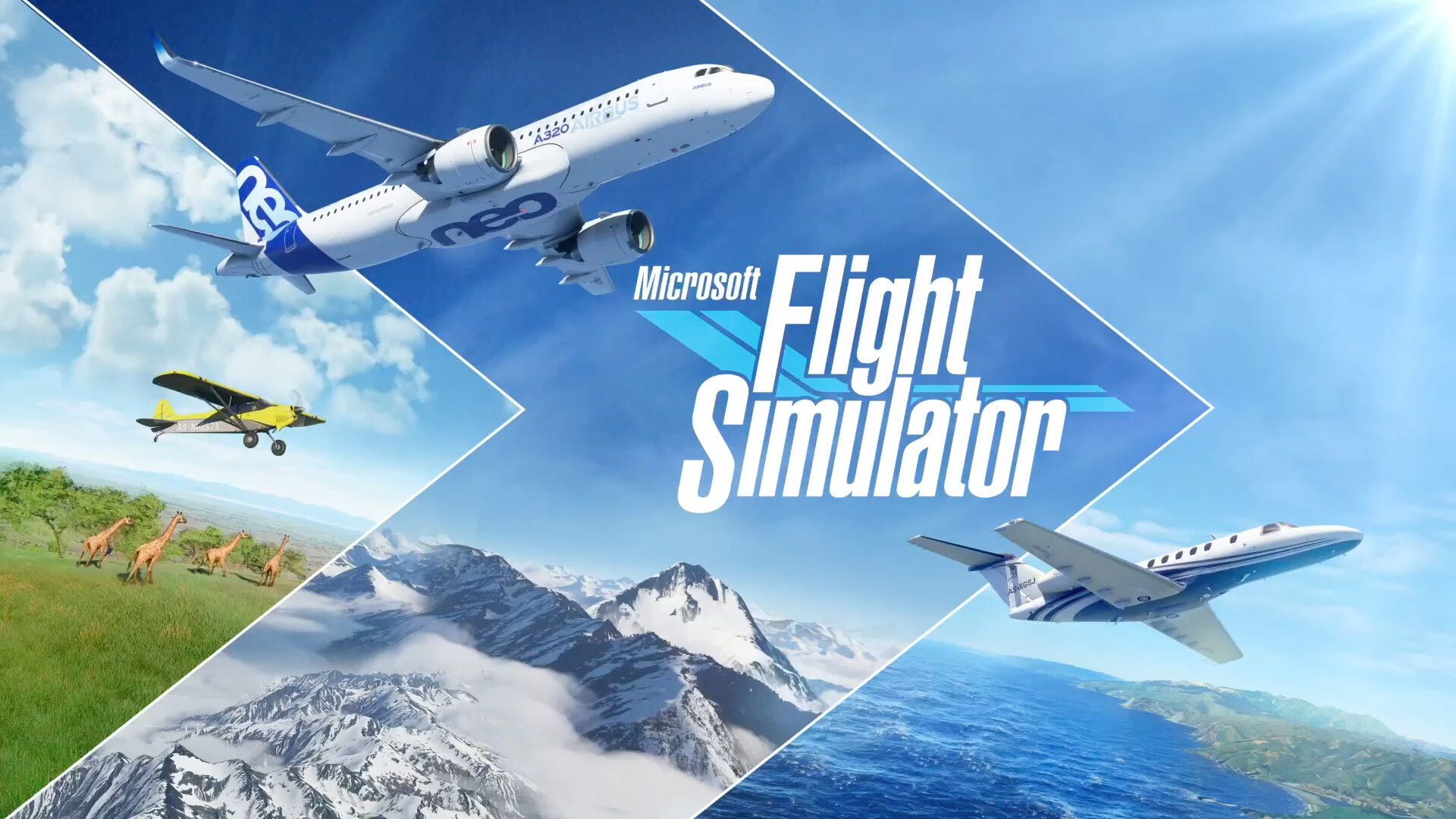 ArtStation - Microsoft Flight Simulator™