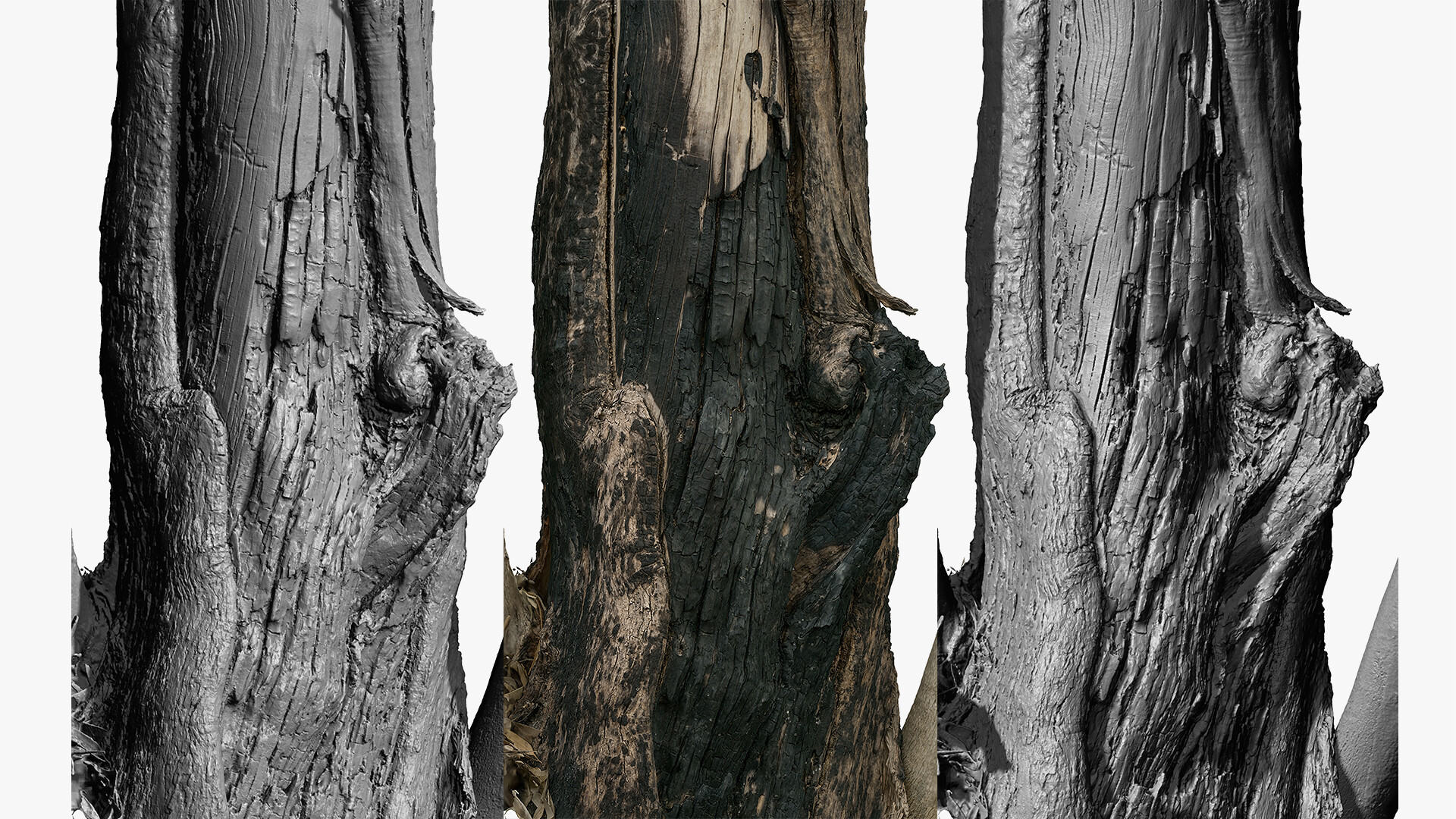 ArtStation - Burnt Tree 3D scan 5 x 4k or 2 x 16k Textures mibtr05