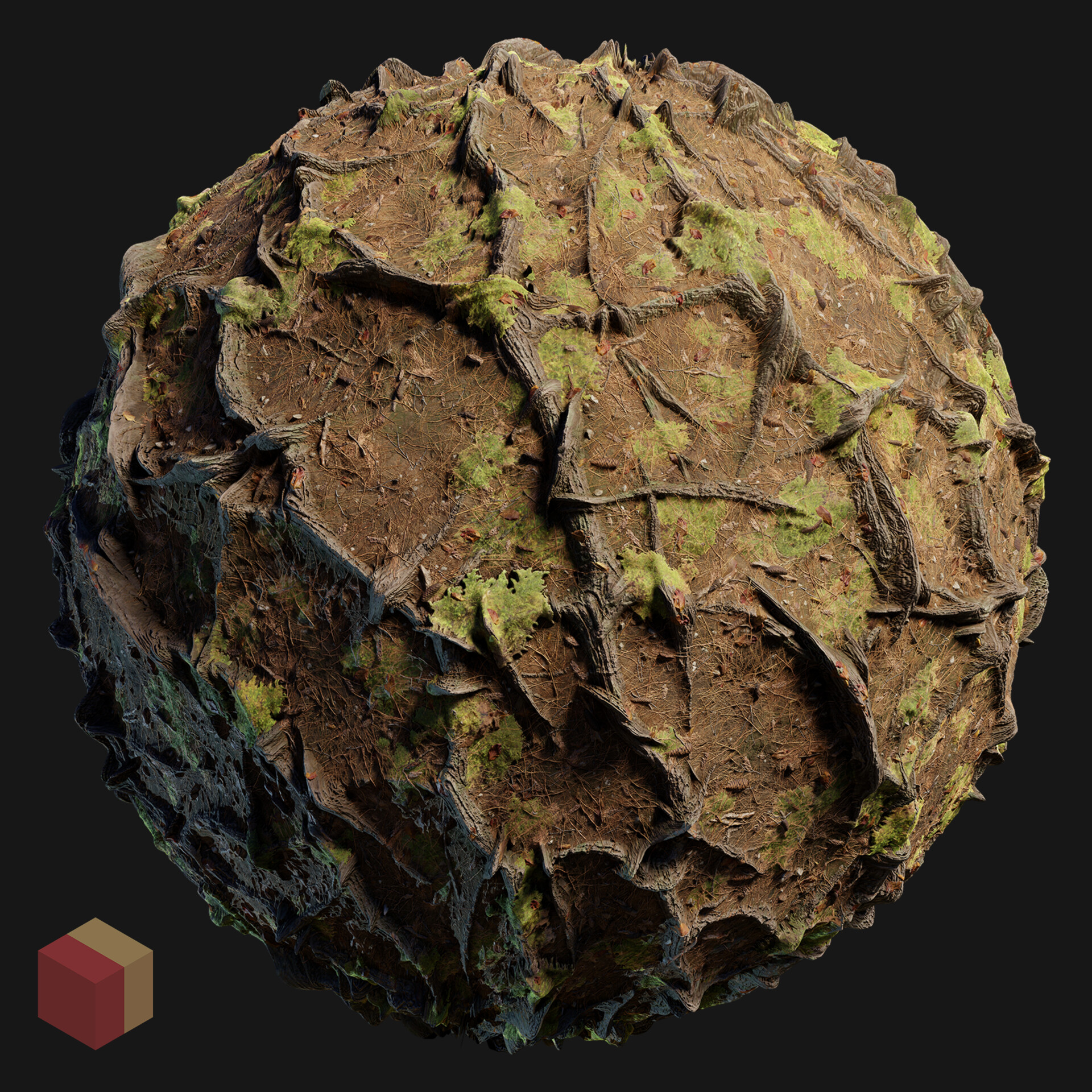 ArtStation - Pine Forest Roots