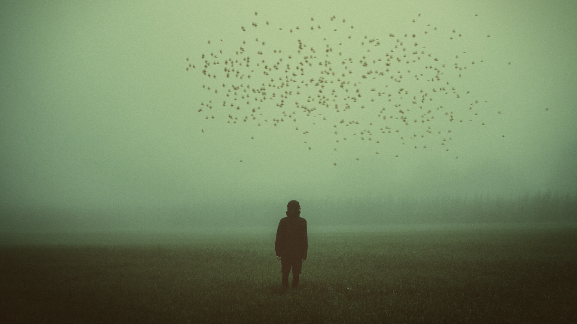 ArtStation - BOIDS BOY