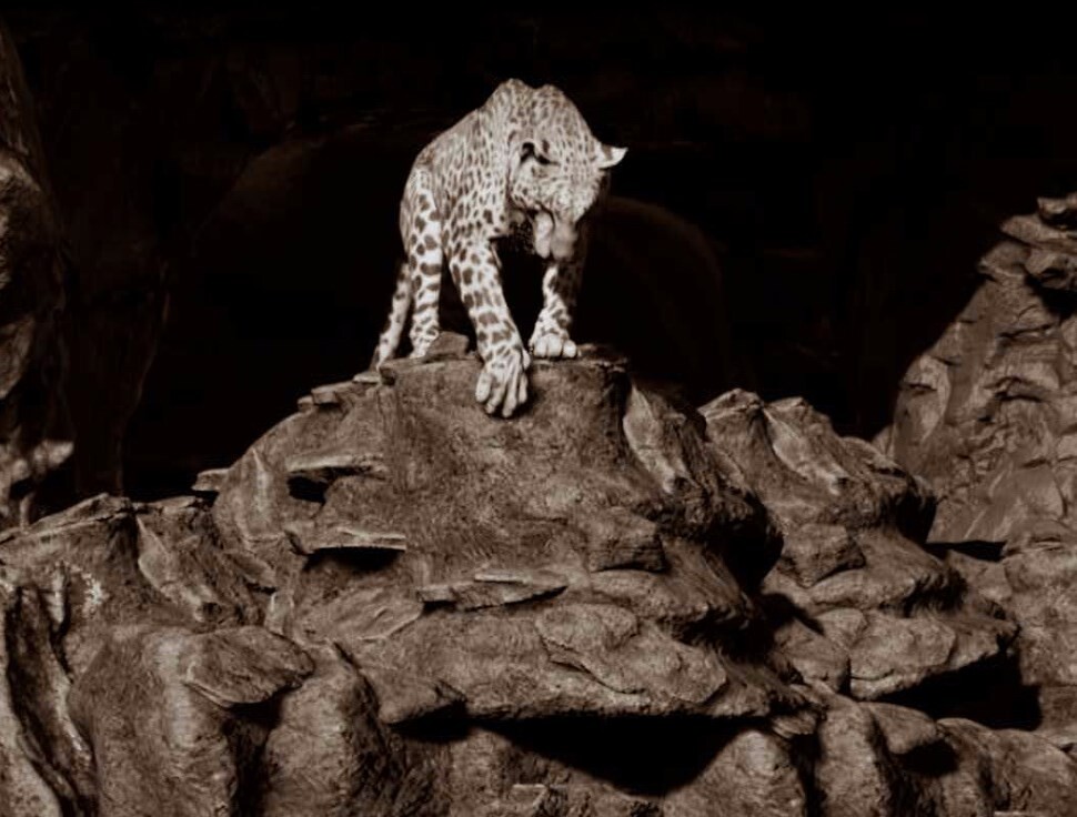 ArtStation - Cave leopard