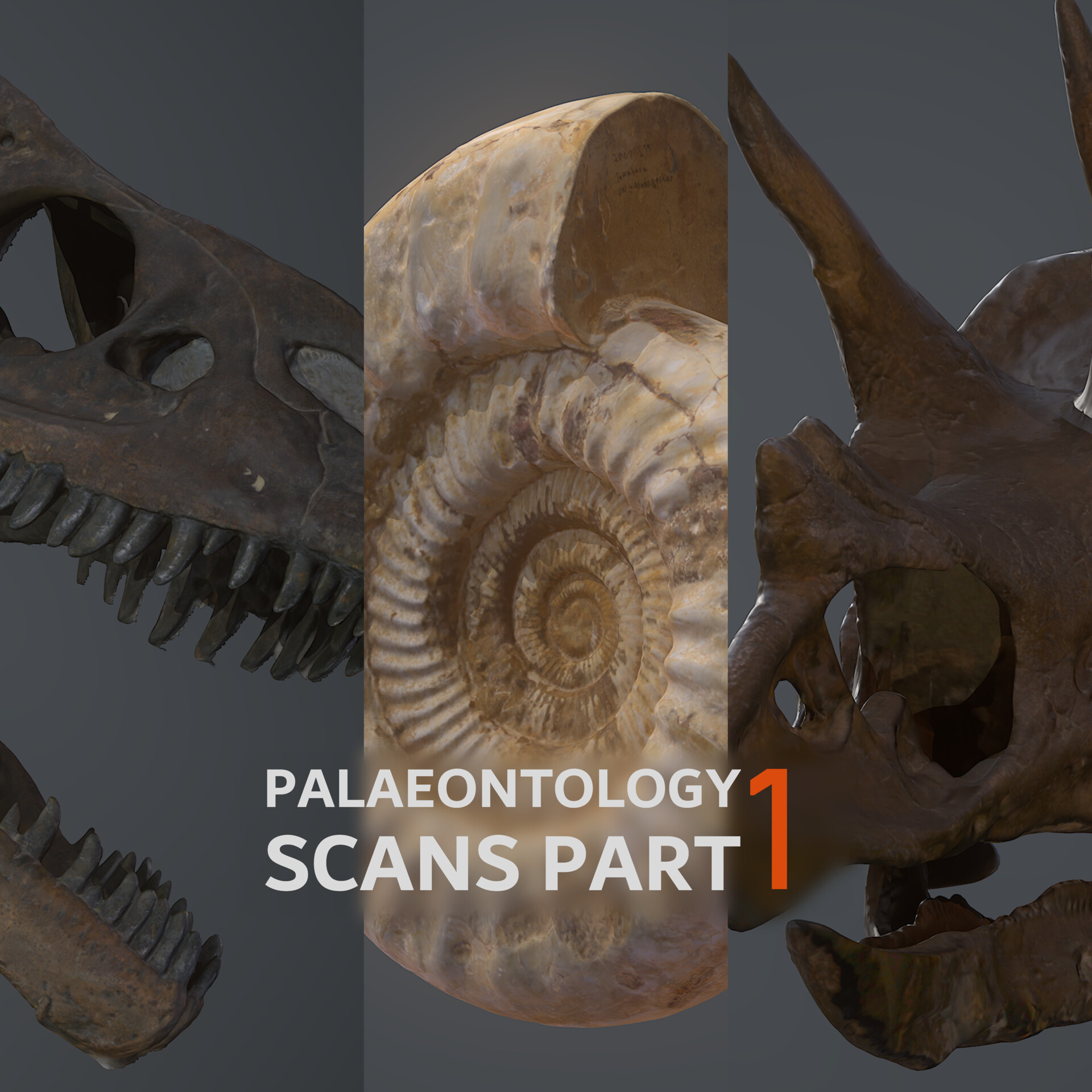ArtStation - Allosaurus / Ammonite / Triceratops Scan
