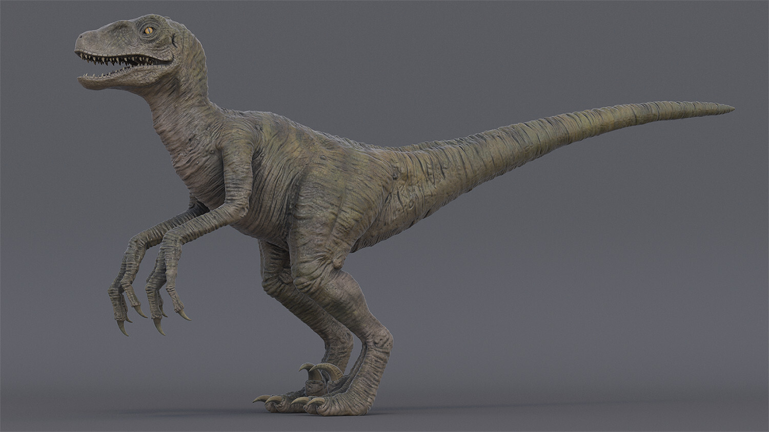 ArtStation - Raptor