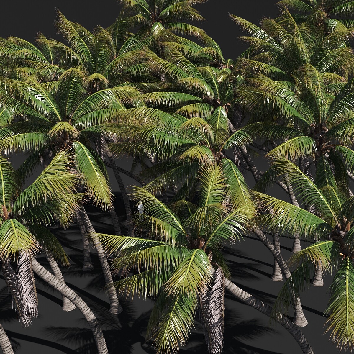 ArtStation - COCONUT TREE VOLUME PACK 02