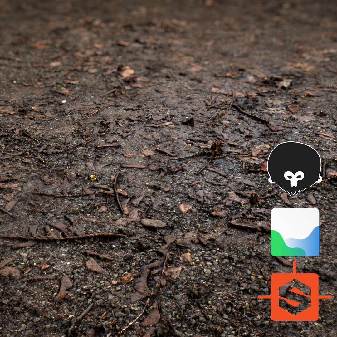 ArtStation - Forest Ground Photogrammetry Based Material