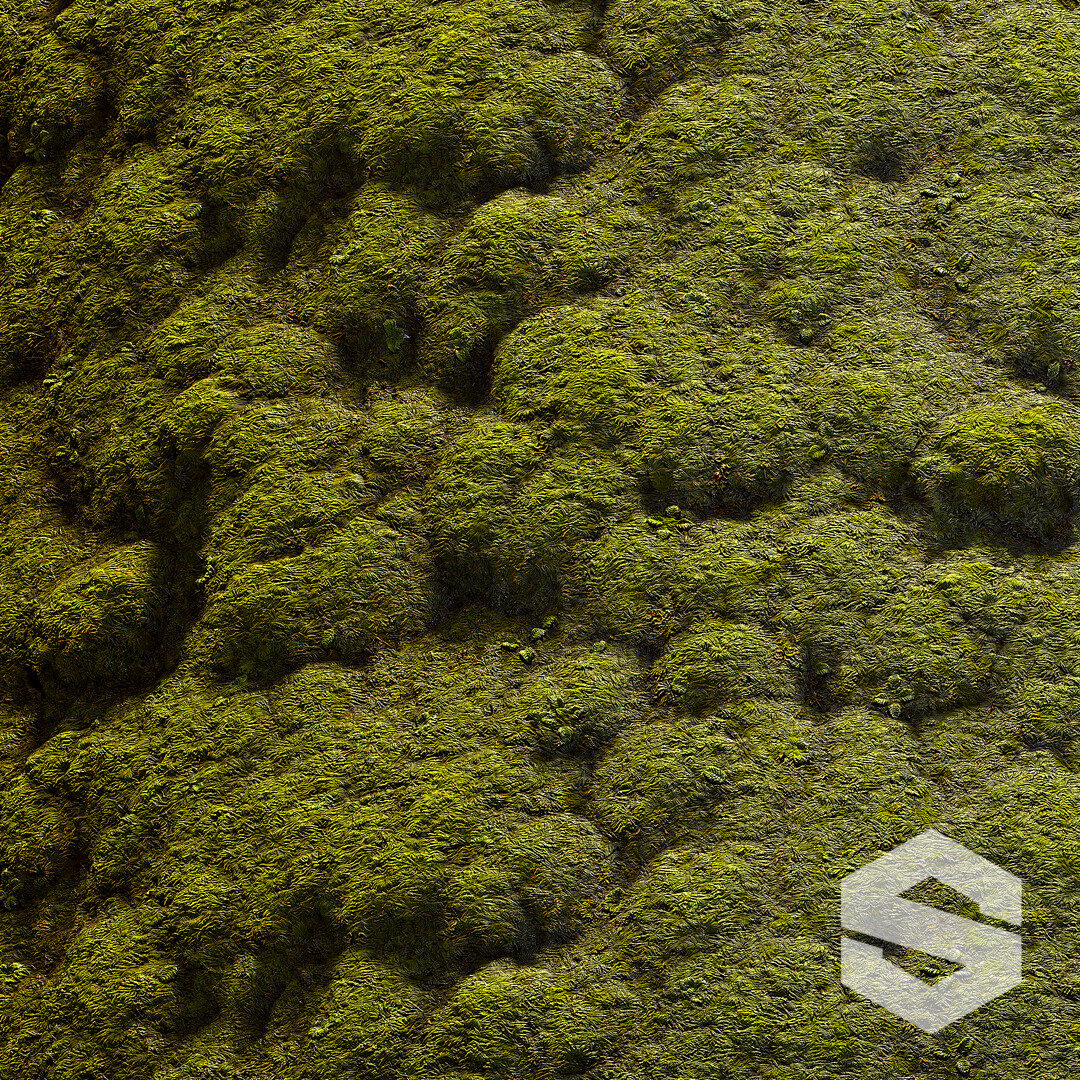 ArtStation - Procedural Moss Material | Substance 3D Designer and Painter