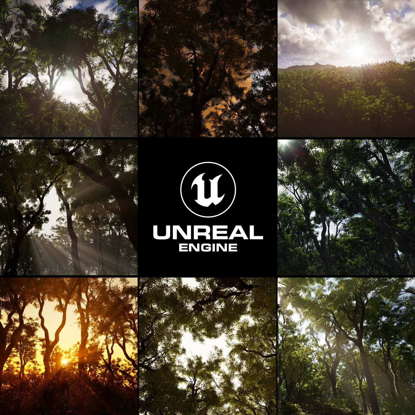 ArtStation - Trees Vol. 4 Pack - Strong Wind Demo - UE4 / UE5