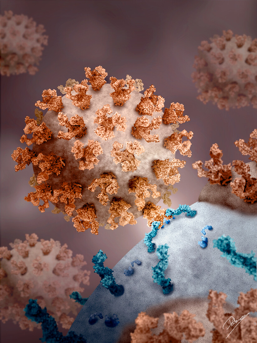 ArtStation - HIV infection: an illustration project