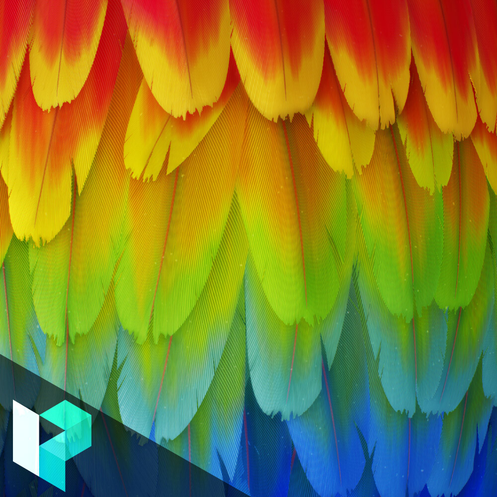 ArtStation - Feather Creation