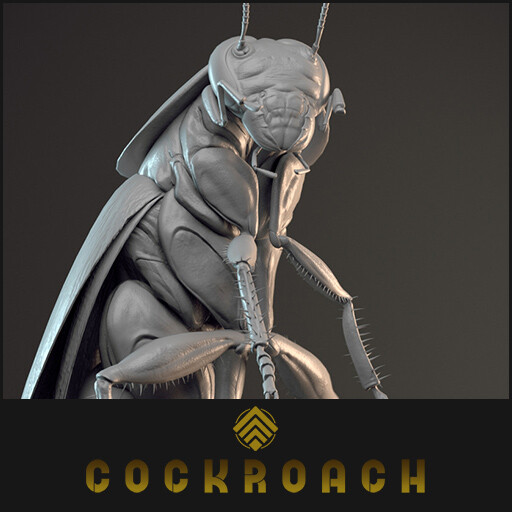 ArtStation - Cockroach