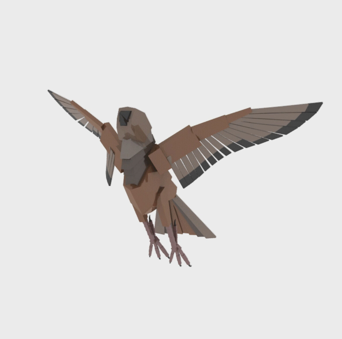 ArtStation - Bird Animation