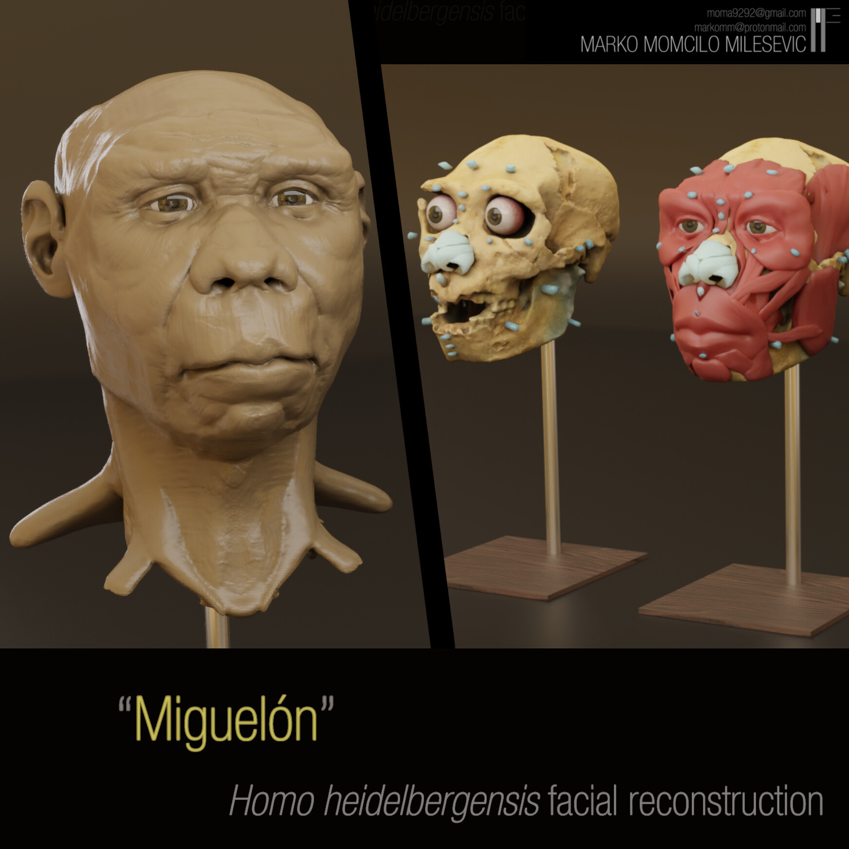 ArtStation - "Miguelón" - Homo heidelbergensis facial reconstruction