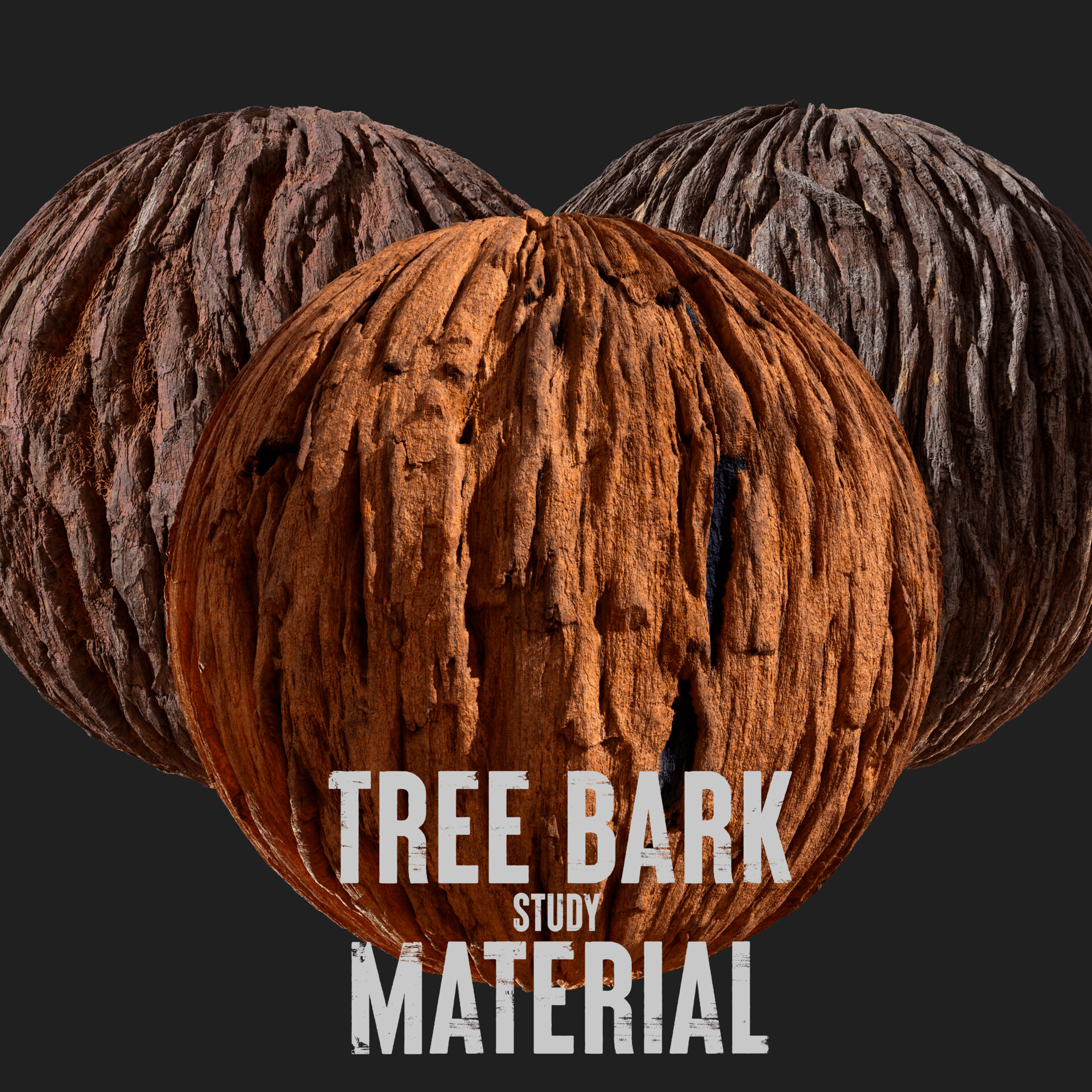 ArtStation - Tree Bark Material Study