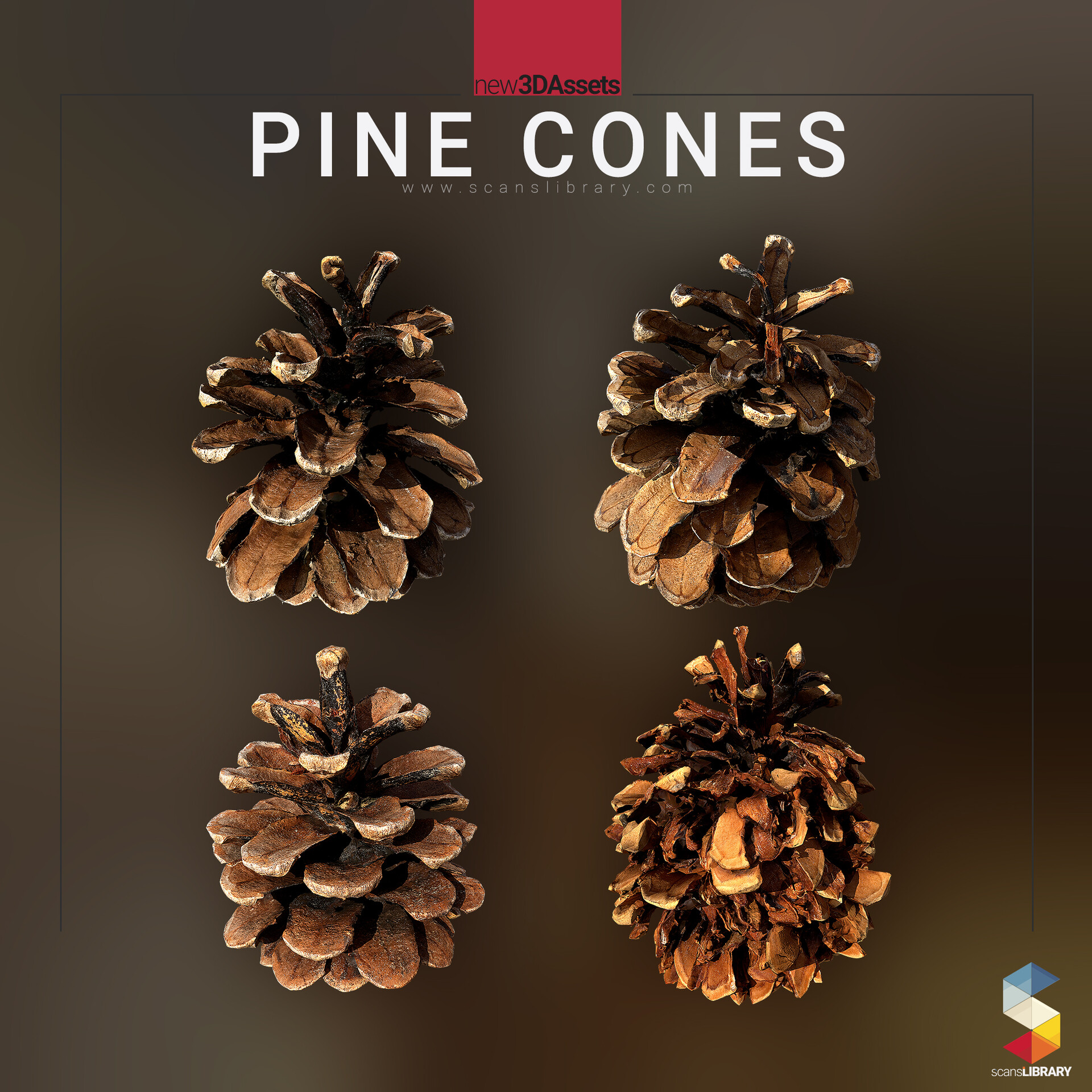 ArtStation - NEW 3D Assets / Pine Cones