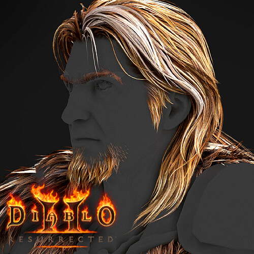 ArtStation - Diablo II: Resurrected - Playable Character Hair