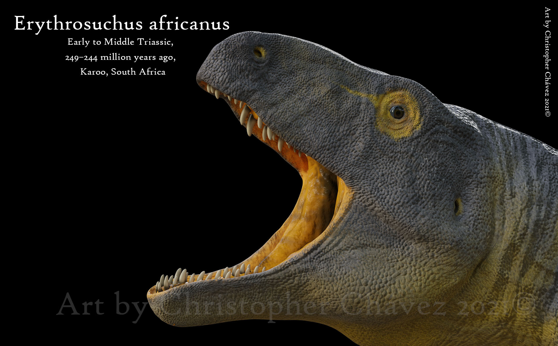 ArtStation - Erythrosuchus africanus