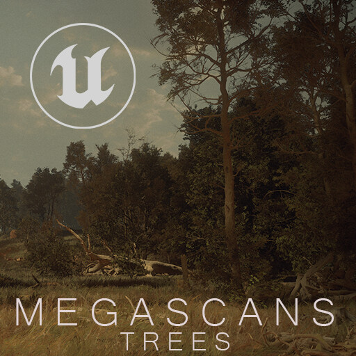 ArtStation - Megascans Trees