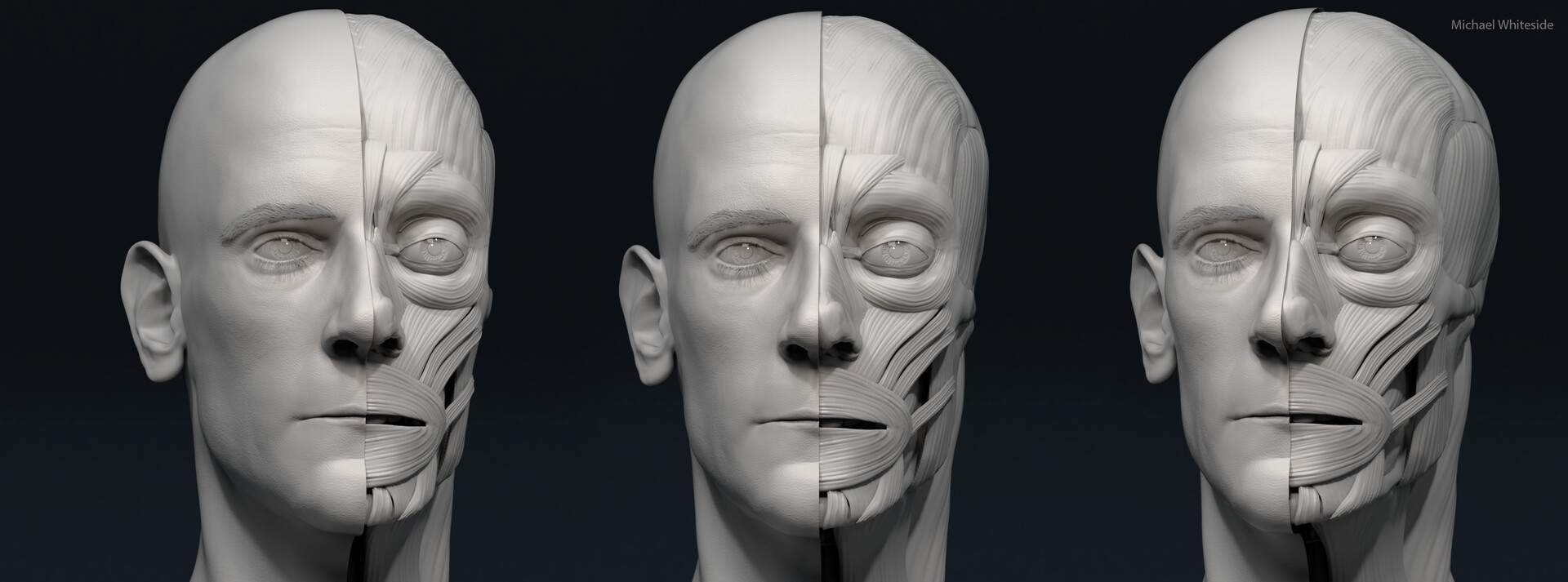 ArtStation - Human Portrait