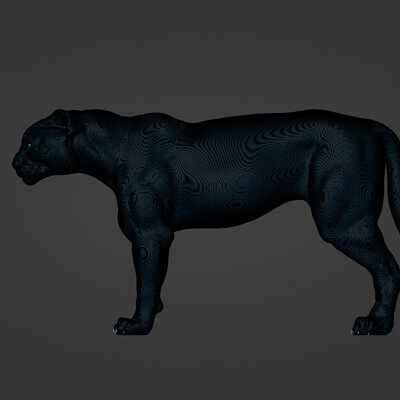 ArtStation - Leopard, Jaguar . Symmetrical 3D model for rigging and ...
