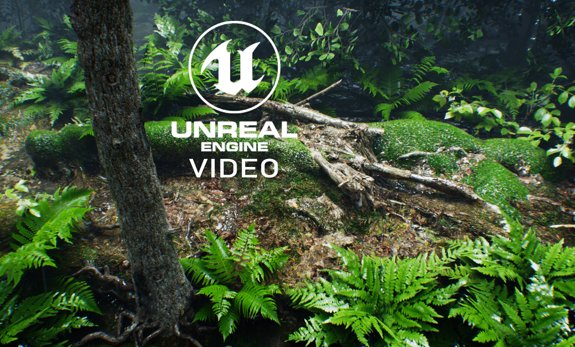 ArtStation - Rain in the jungle swamp UE5 with sound effects