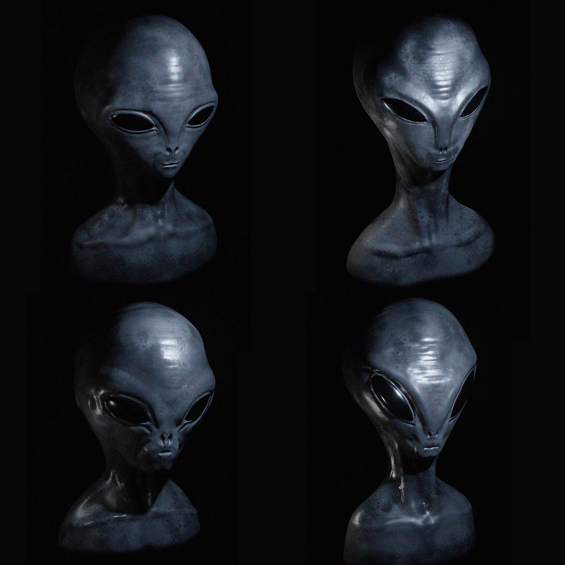 ArtStation - Grey alien busts