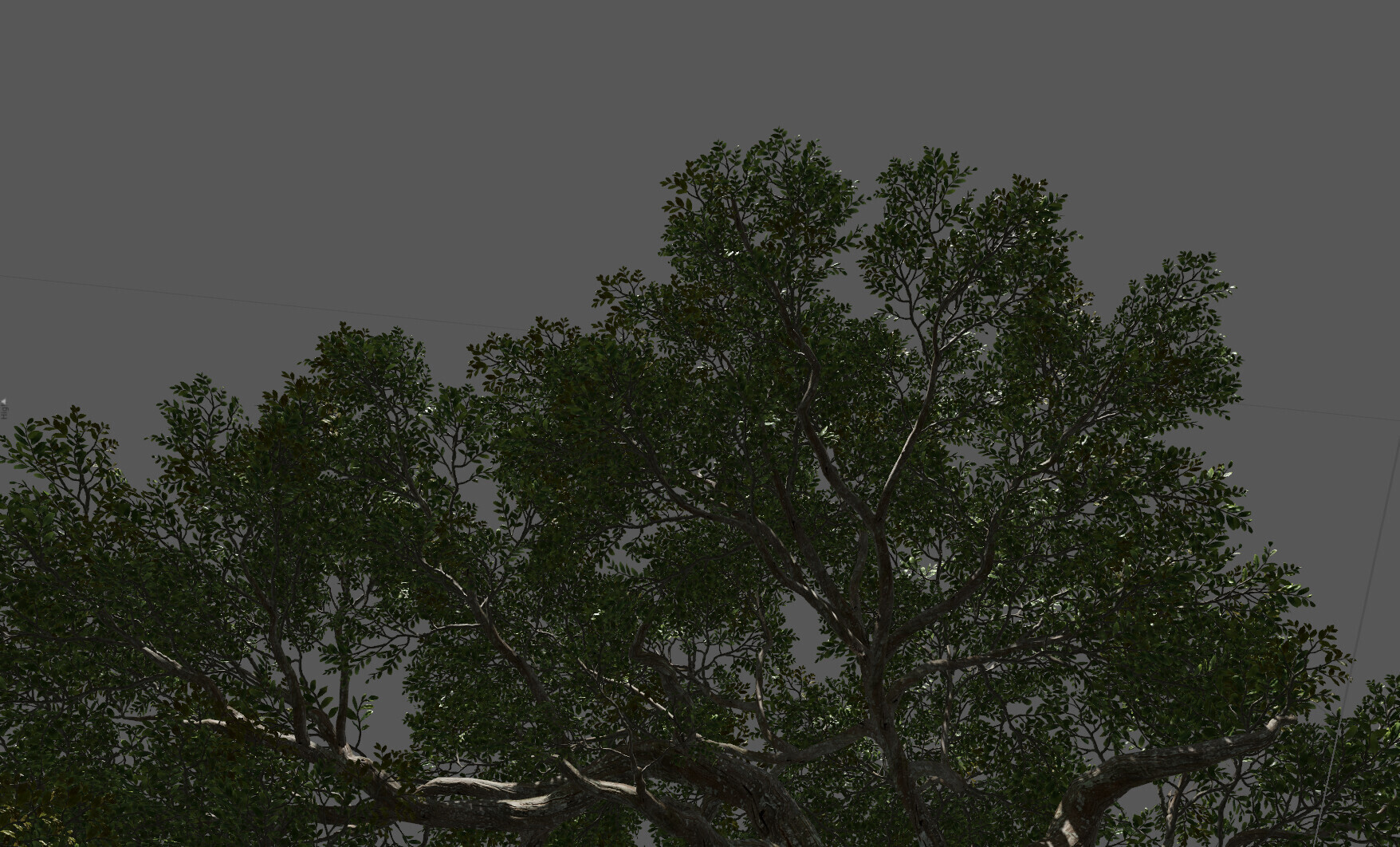 ArtStation - speed tree make leaf group