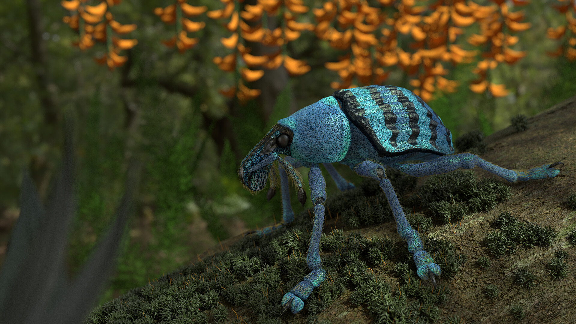 Kevin Vandenbeuck - Eupholus Magnificus