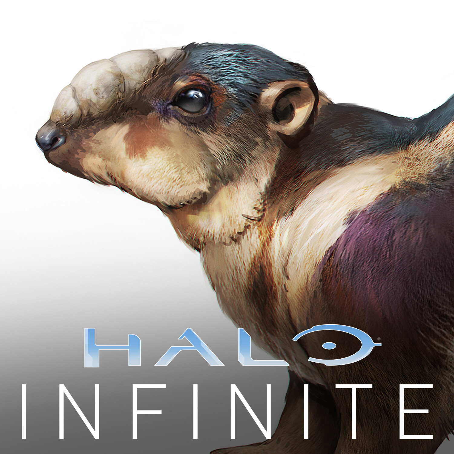 ArtStation - Halo Infinite - Space Gopher
