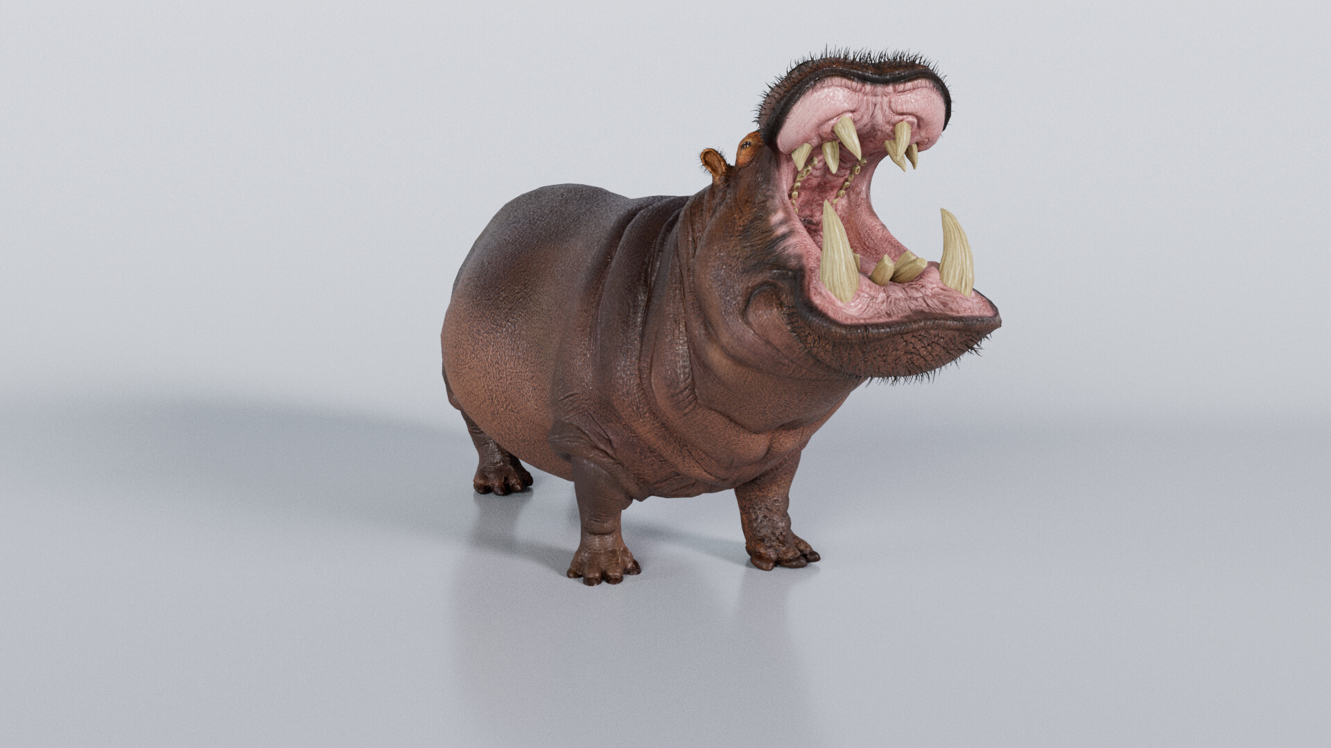 ArtStation - Wild Hippo