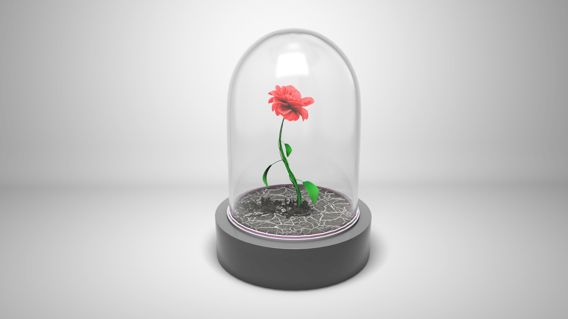 ArtStation - Growing Flower Animation