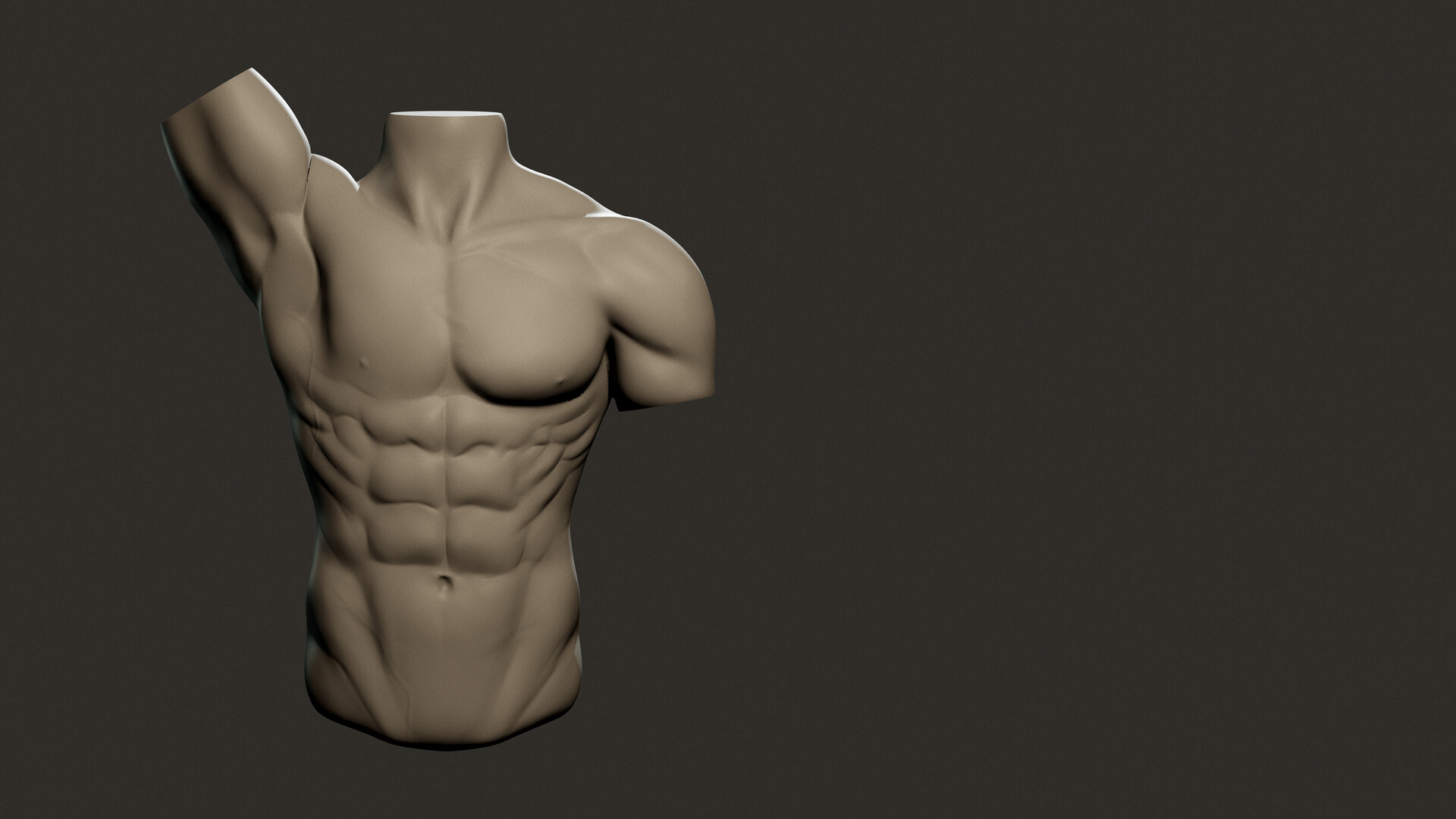 ArtStation - Torso study