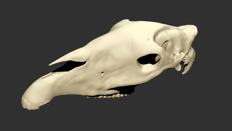 ArtStation - Tomasz Kedra