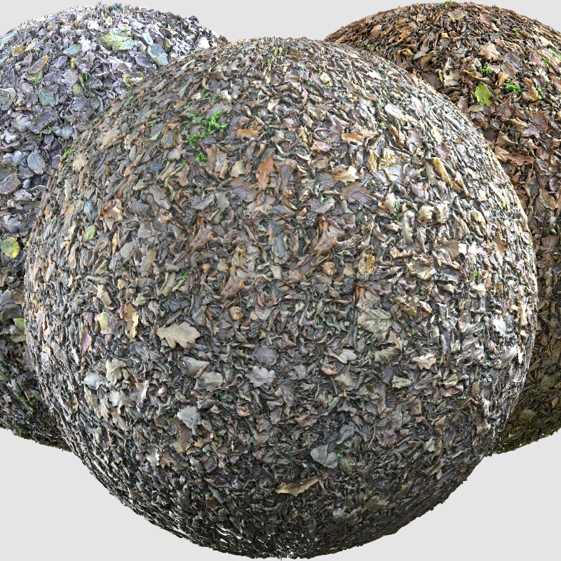 ArtStation - Mixed|Leaves